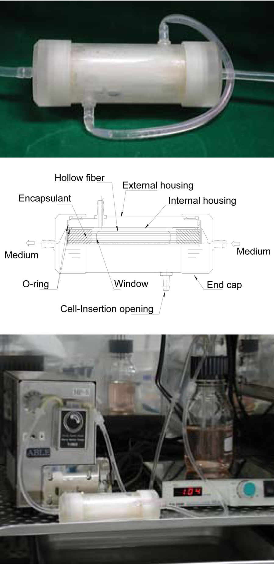 Hollow Fiber Module Applied for Effective Proliferation and Harvest of ...