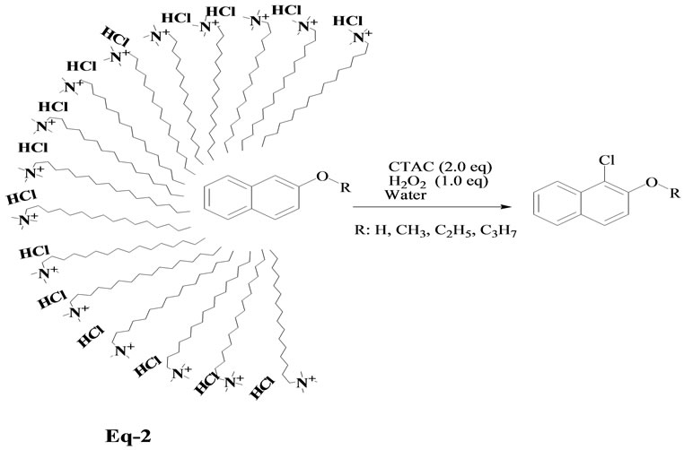 Environmentally Benign Electrophilic Halogenation of Naphthalenes by H ...