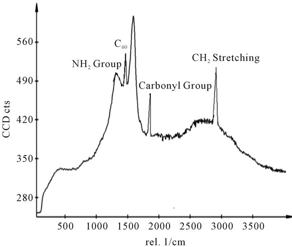 13 C NMR and Raman Studies of Fullerene-Based Poly (Acrylamides)