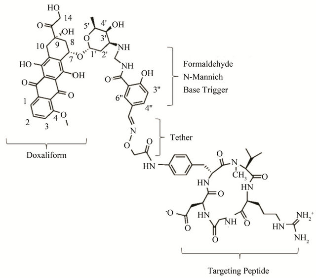 Importance of integrin receptors in the field of pharmaceutical ...