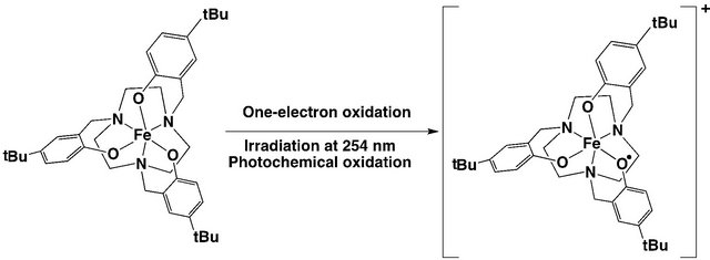 Recent Advances in X-Ray Structures of Metal-Phenoxyl Radical Complexes