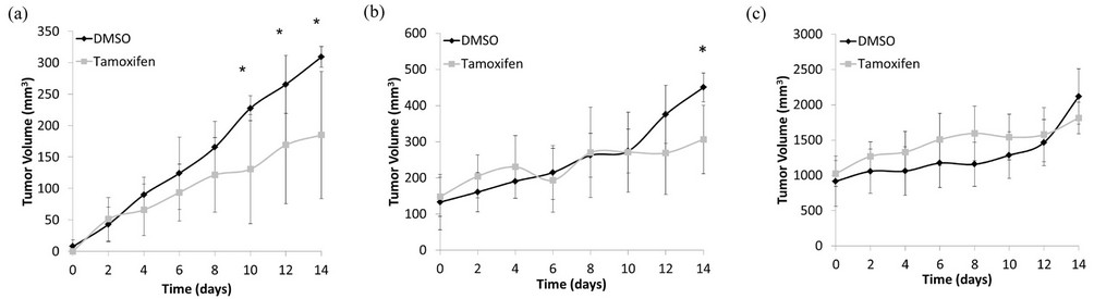 The MMTV-PyVT Transgenic Mouse as a Multistage Model for Mammary ...