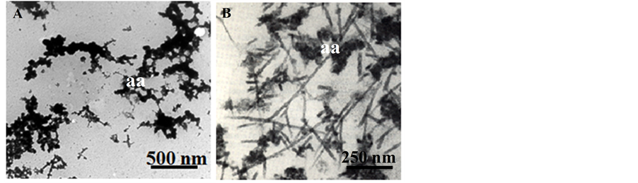 A Lysozyme Concentration, pH, and Time-Dependent Isothermal ...