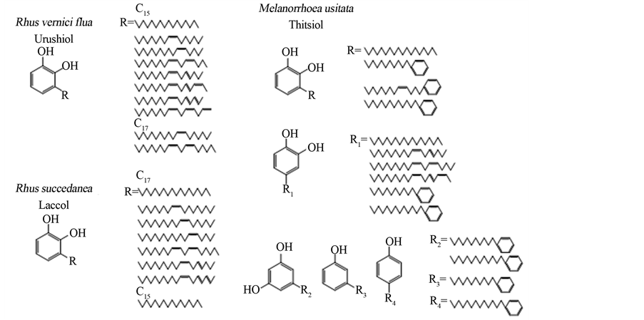Investigation and development on processing of Vietnamese lacquer