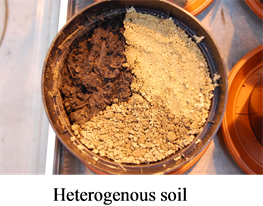 Testing the Effect of Soil Heterogeneity on Arbuscular Mycorrhiza Fungi ...