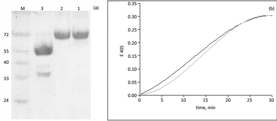 Meizothrombin Preparation and Its Role in Fibrin Formation and Platelet ...
