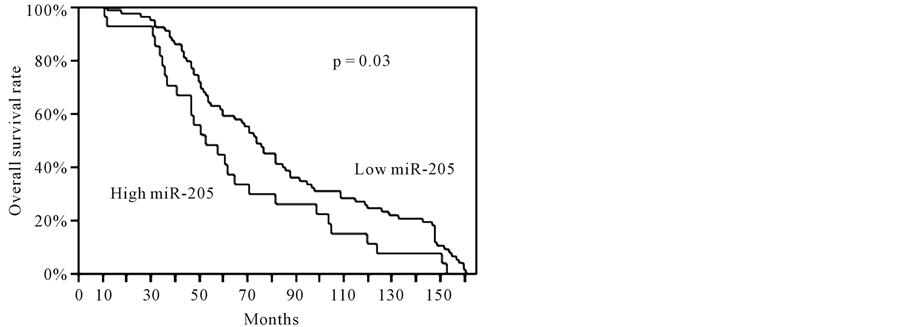 Prognostic Role of miR-205 in Early-Stage (T1N0) Non-Small Cell Lung Cancer