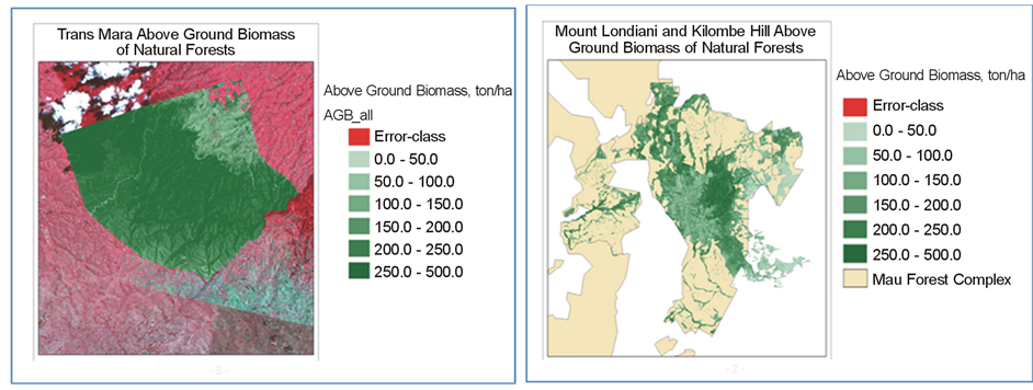 An Inventory of the Above Ground Biomass in the Mau Forest Ecosystem, Kenya