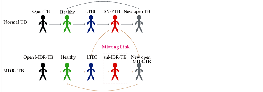 Smear-Negative Multidrug-Resistant Tuberculosis a Significance Hidden ...