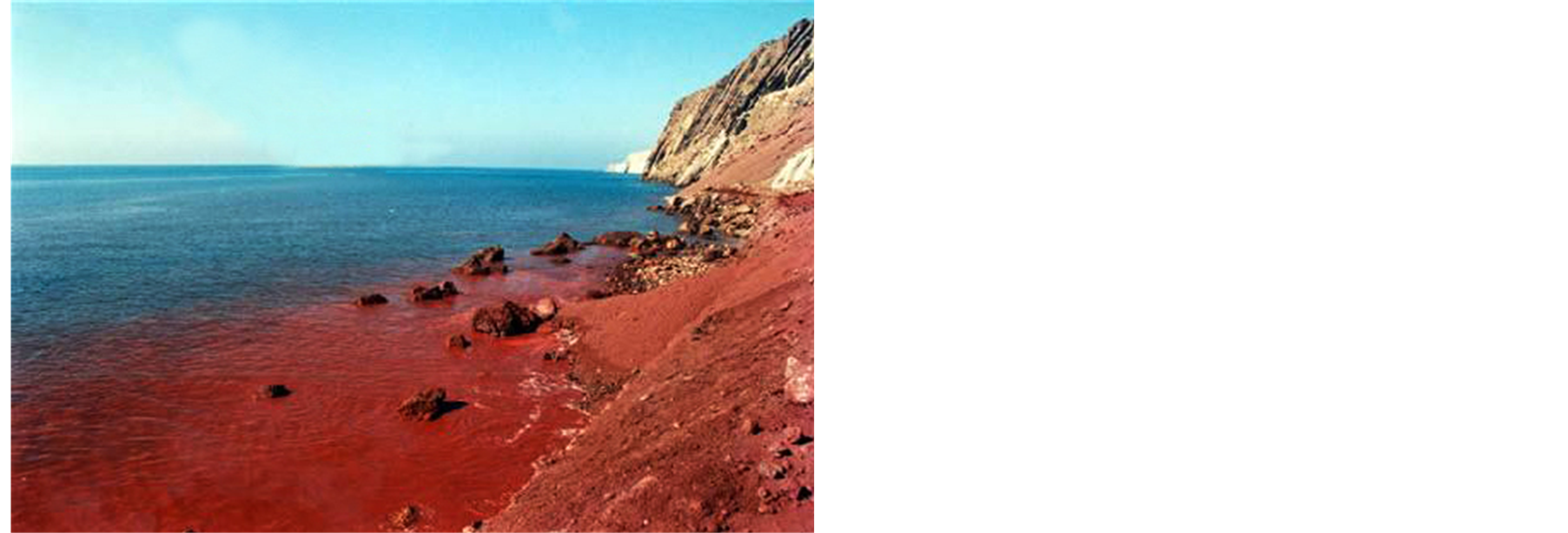 Geological and Geotourism Study of Iran Geology Natural Museum, Hormoz ...