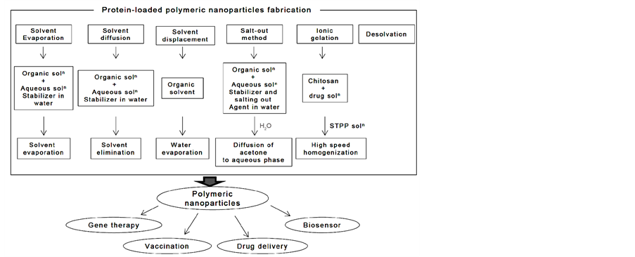 Protein Drug-Loaded Polymeric Nanoparticles