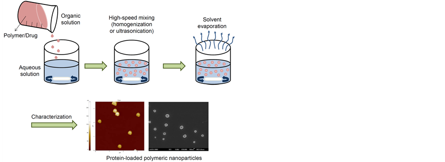 Protein Drug-Loaded Polymeric Nanoparticles