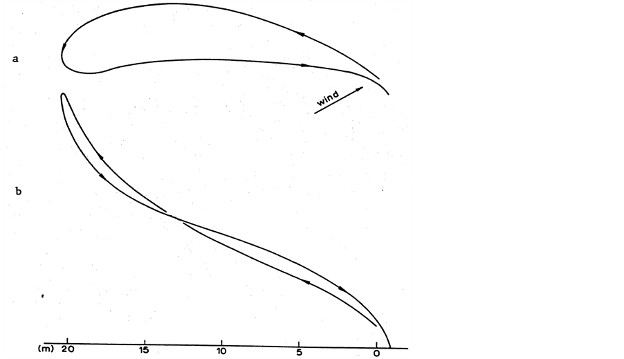 Theory of Dynamic Interactions: The Flight of the Boomerang
