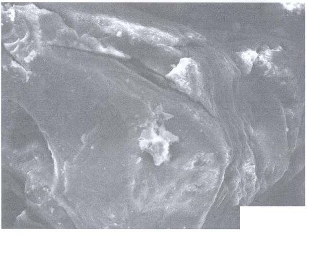 Leaching of Minerals in Degari Coal