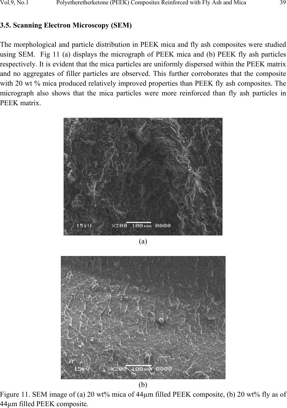 Polyetheretherketone (PEEK) Composites Reinforced with Fly Ash and Mica