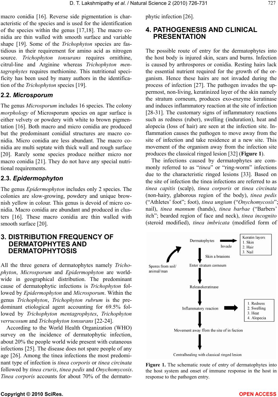 Review on dermatomycosis: pathogenesis and treatment
