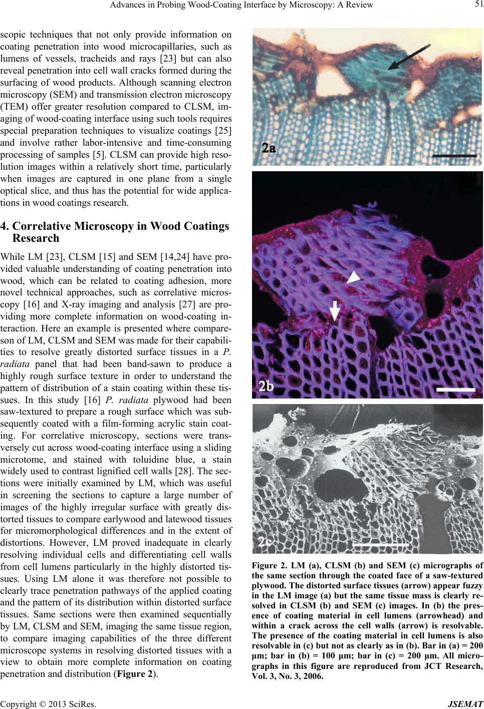 Advances in Probing Wood-Coating Interface by Microscopy: A Review
