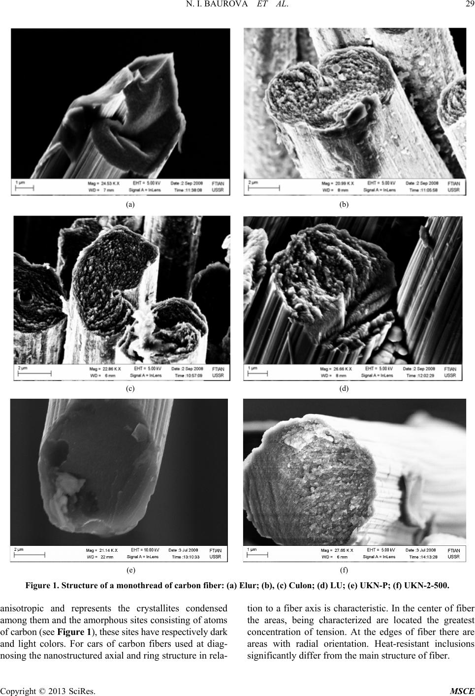 Microstructure of Carbon Fiber and Carbon Reinforced Plastic