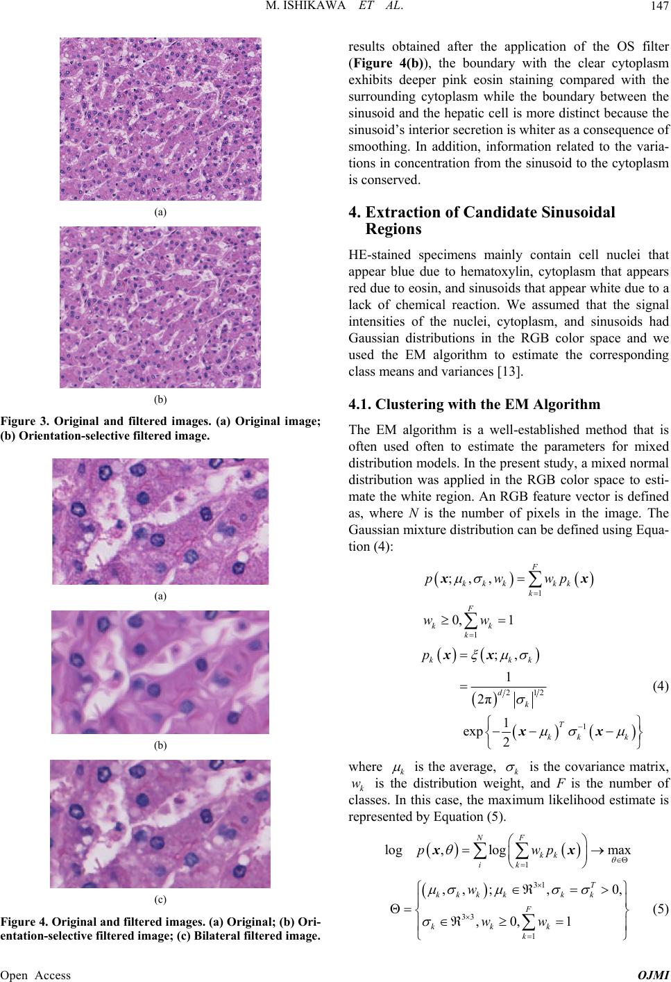 Segmentation of Sinusoids in Hematoxylin and Eosin Stained Liver ...