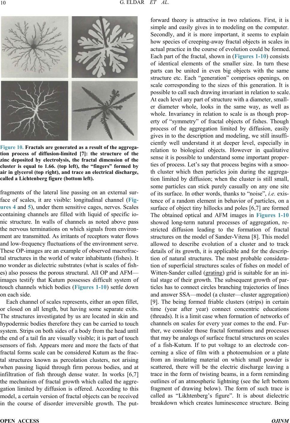 The Surface Fractal Structure of Fish Scales