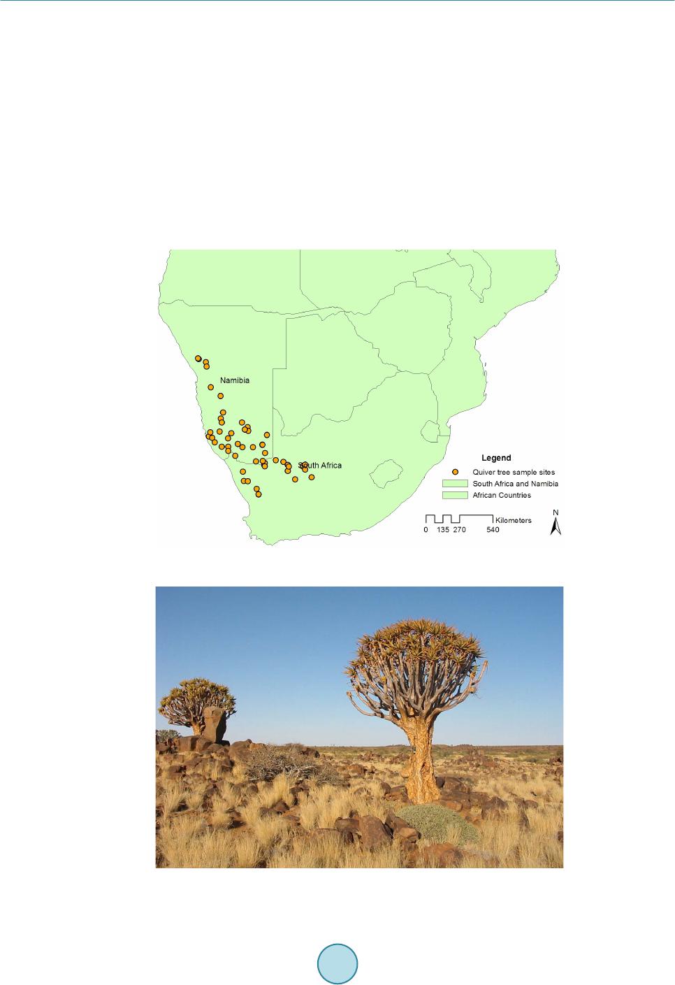 Conservation of Quiver Trees in Namibia and South Africa under a ...