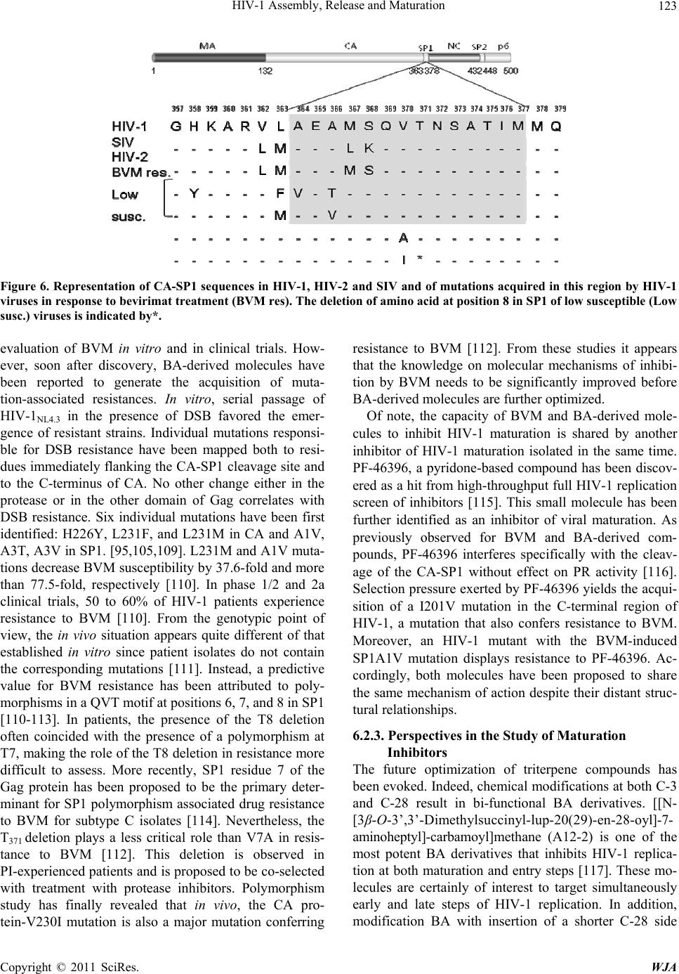 HIV-1 Assembly, Release and Maturation