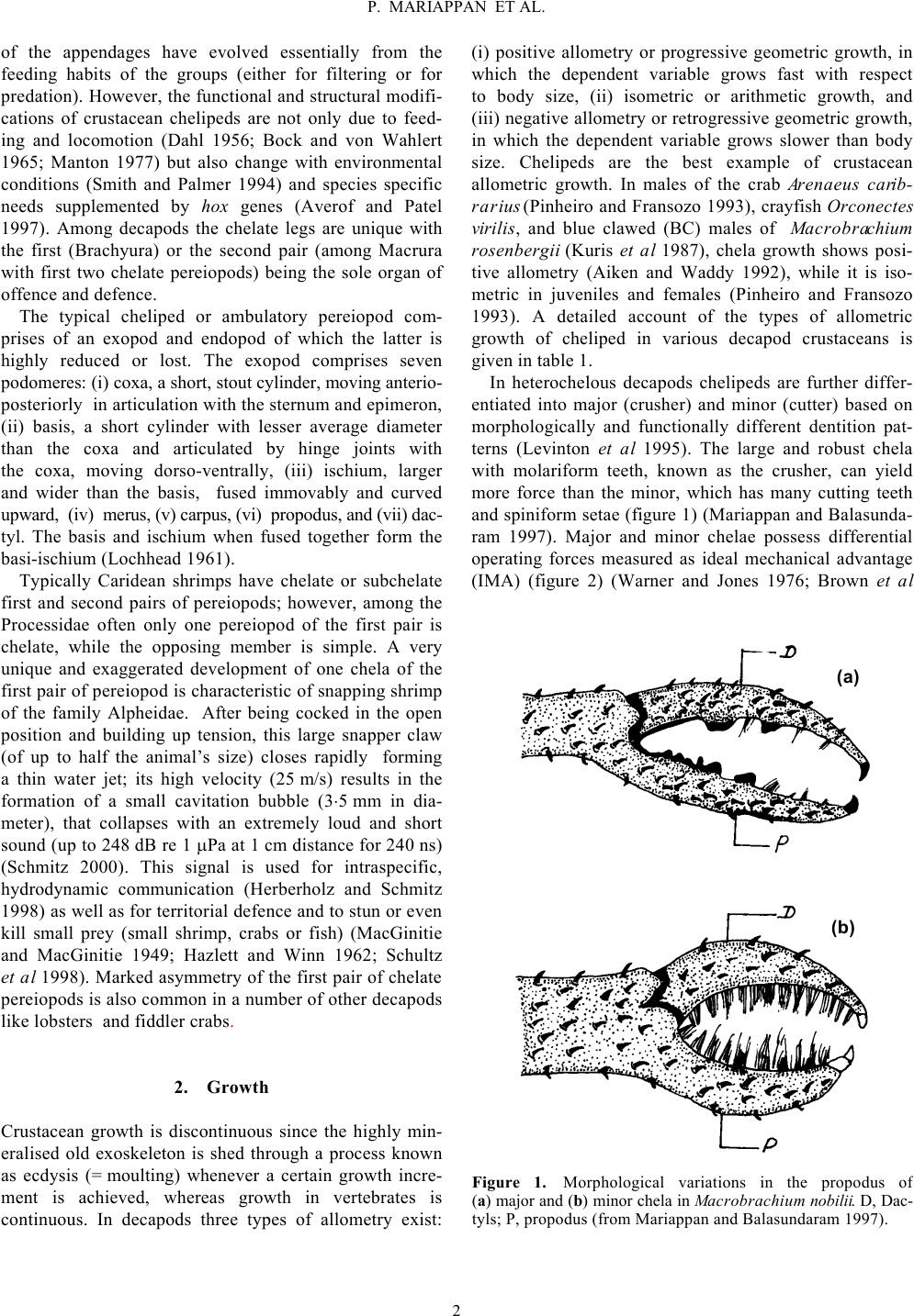 Decapod crustacean chelipeds: an overview