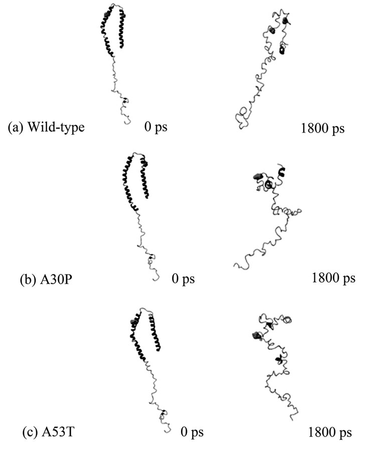 Unfolded annealing molecular dynamics conformers for wild-type and ...
